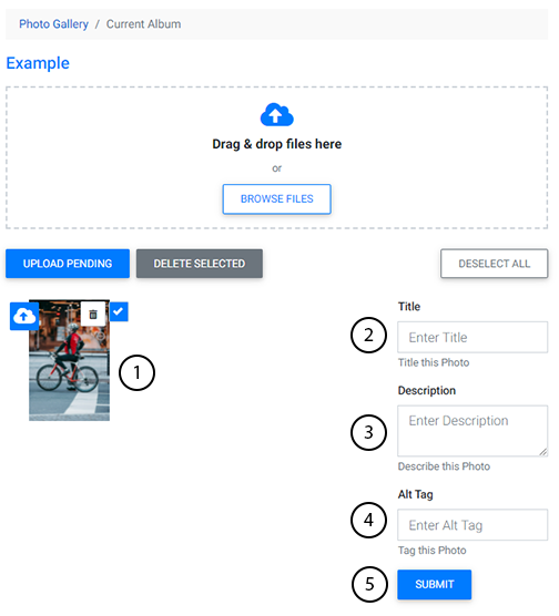 Managing Image Details with the Image Editor - Third Wave Digital